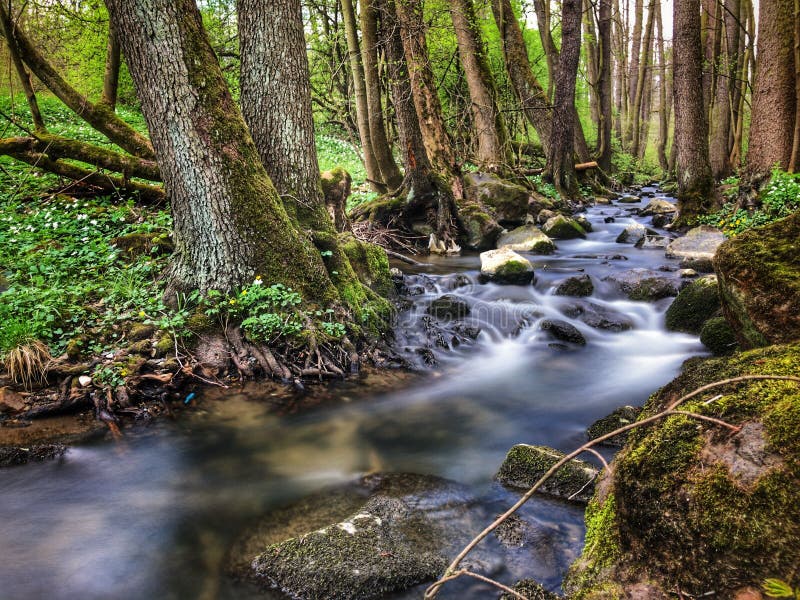 Water Rushing from Small Creek. Stock Photo - Image of mountains ...