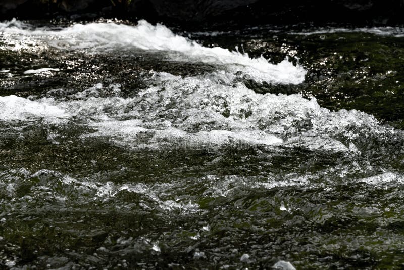 Water Rushing through a Stream Stock Image - Image of flow, outdoor ...