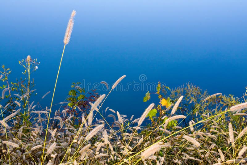 Water s Edge stock photo. Image of blue, outdoors, contrast - 16567226