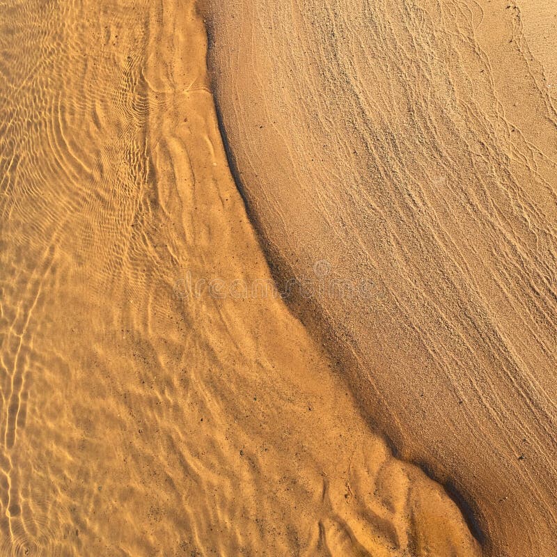 At the water`s edge stock photo. Image of shoreline, crisscross - 83219780