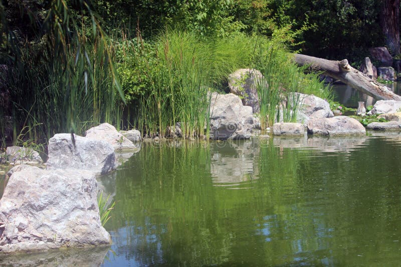 At Water s Edge stock photo. Image of trees, plants, lake - 73481360