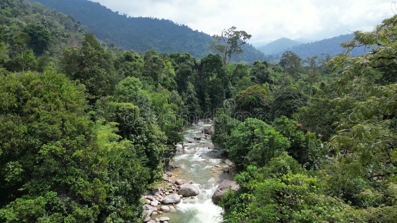 Water S Fluidity Against the Enduring Presence of Rocks Stock Footage ...