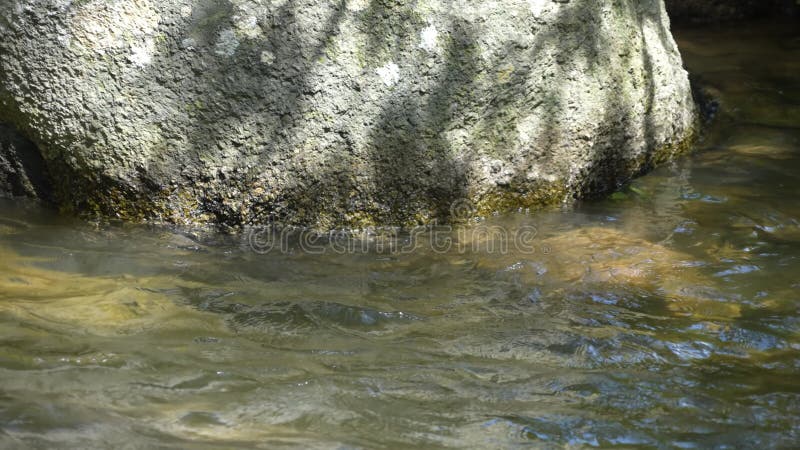 Water S Movement Over Rocky Surfaces. Stock Video - Video of flowing ...