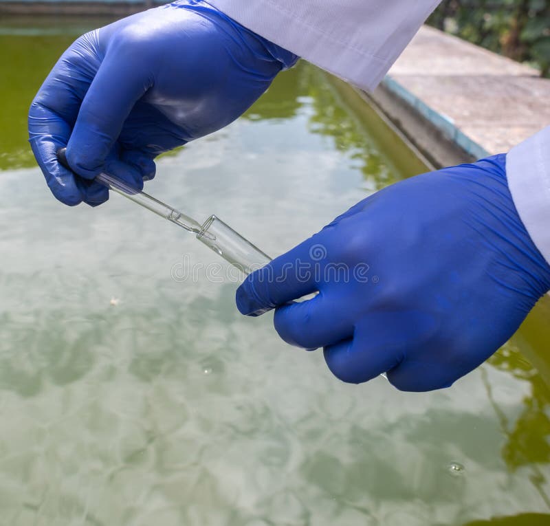 Pool Water Microbiological Analysis Stock Photos - Free & Royalty-Free ...