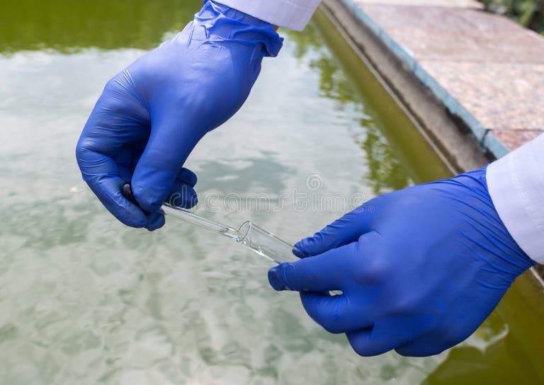 Checking Pool Chemicals Stock Photos - Free & Royalty-Free Stock Photos ...