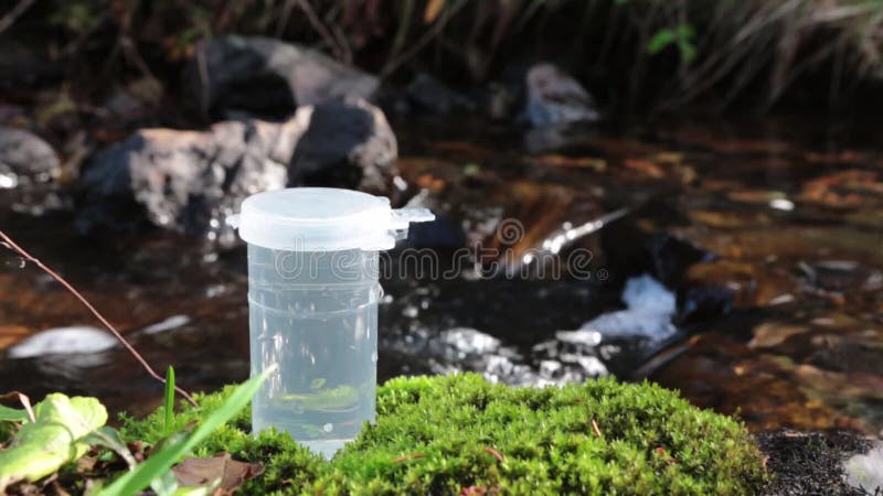 Water Sampling stock video. Video of equipment, chemical - 237872893