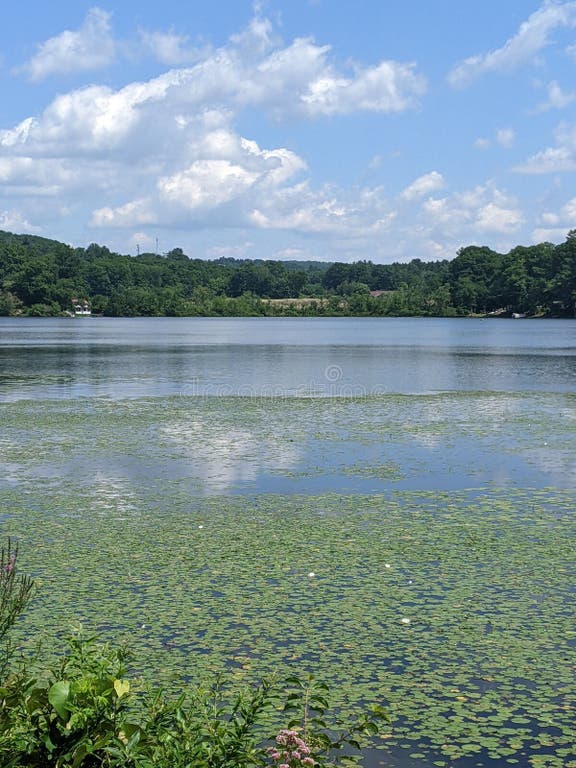 Water Scape New England Pond Stock Image - Image of scape, water: 367905635