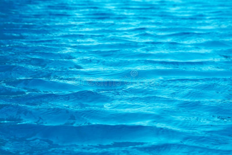 Water of Sea is so Clear that You Can See Sand and Shells in Water ...