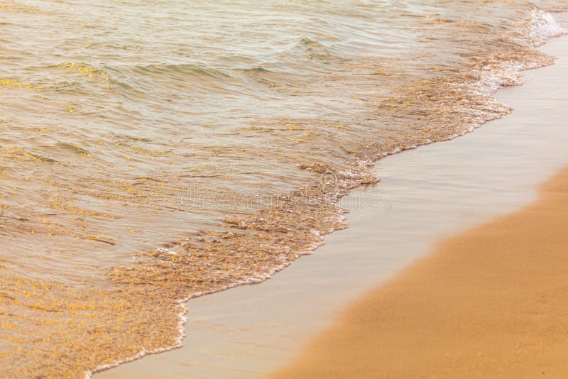 Water by the Sea on Golden Sand. Stock Image - Image of water, summer ...