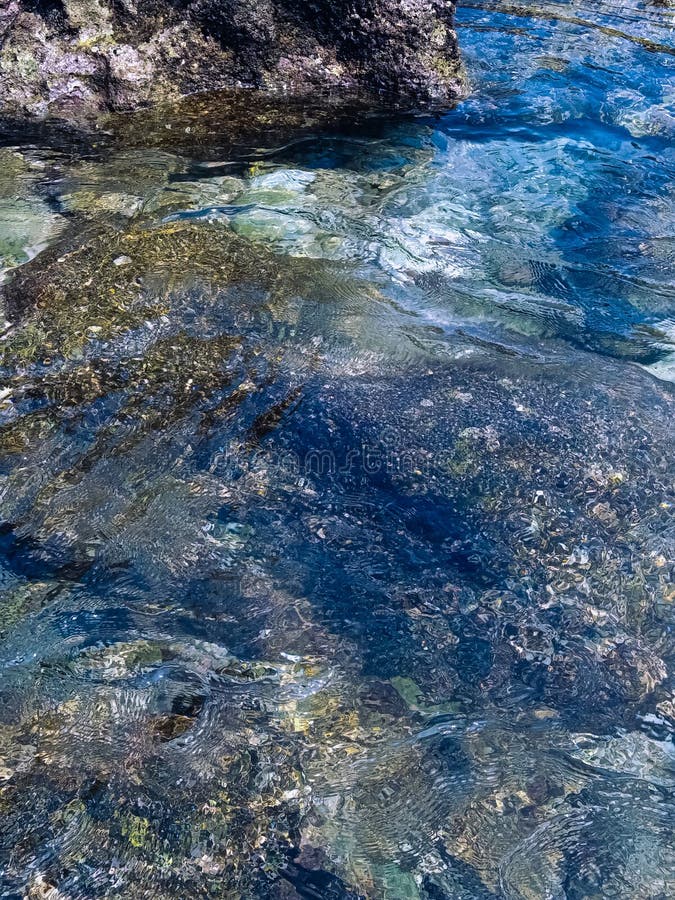 The Beauty of the Seafront with Coral and Very Clear Water and Clear ...