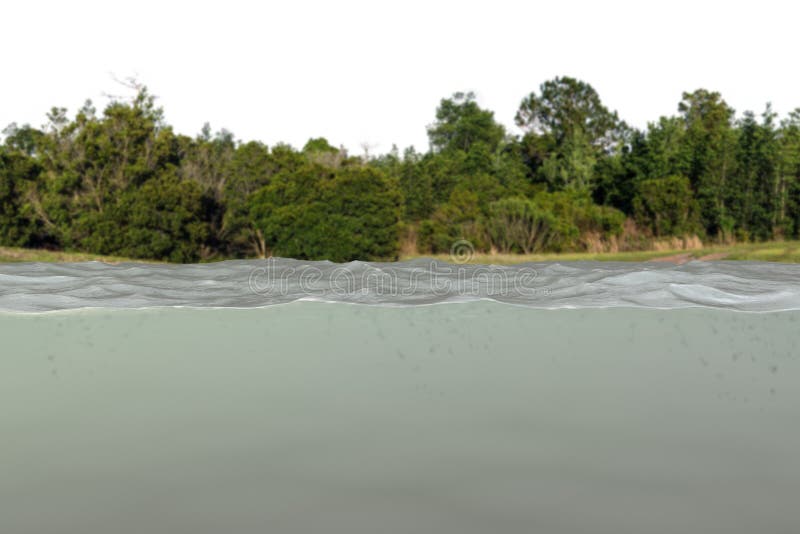 Water Section Isolated on White Stock Illustration - Illustration of ...