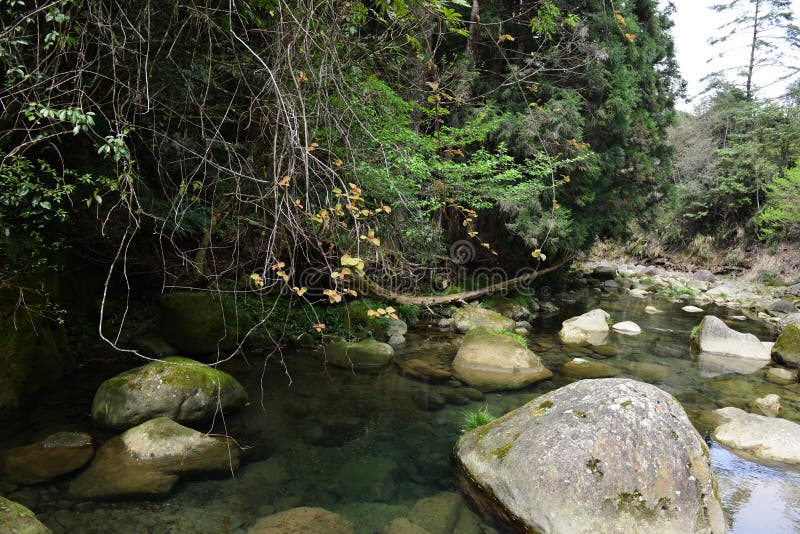 Water Seethed Under the Falls . Stock Photo - Image of pond, mysterious ...