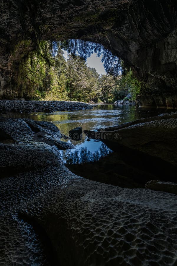 Water and Several Trees of the Forest Seen from Under the Cliff Stock ...
