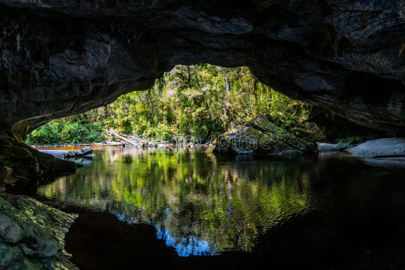 Water and Several Trees of the Forest Seen from Under the Cliff Stock ...