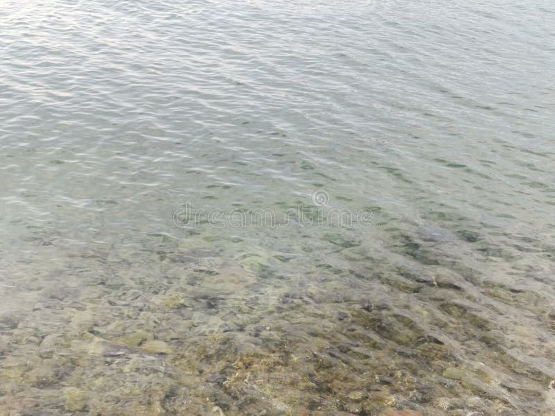Water in Shallow Beach in Rocky Bottom Stock Photo - Image of ocean ...