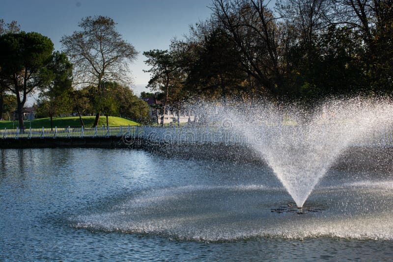 Water Shooting from Water Fountain Jets Stock Photo - Image of ...