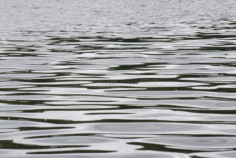 Water stock image. Image of fluid, nearow, summer, shot - 55903221