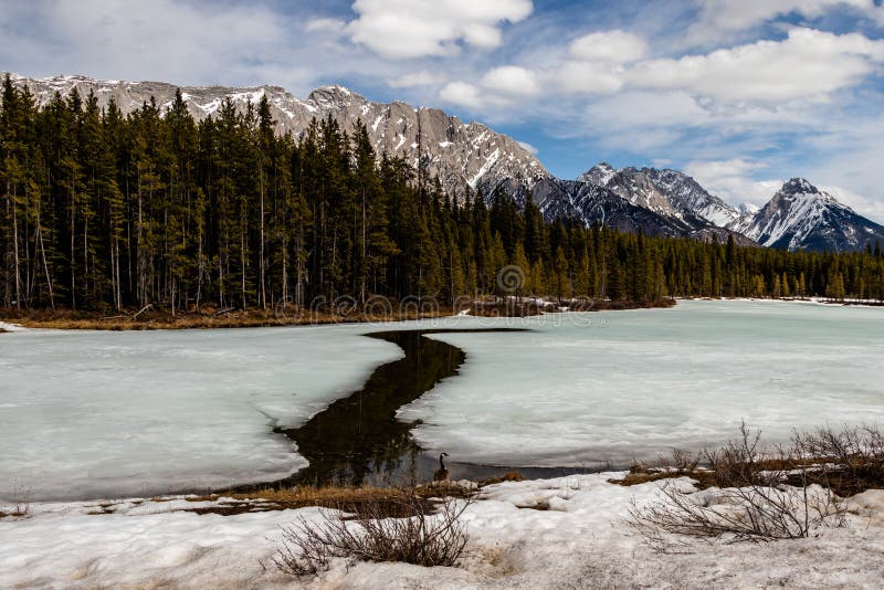 Water Showing through Upper Lake. Peter Lougheed Provincial Park ...