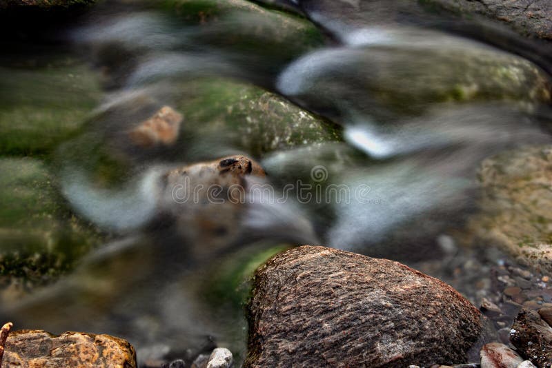 Water of white stock image. Image of sifting, green - 191092531