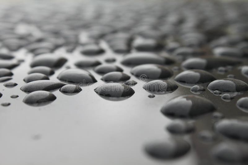 Still Rain Drops after the Rain Stock Photo - Image of rain, drops ...