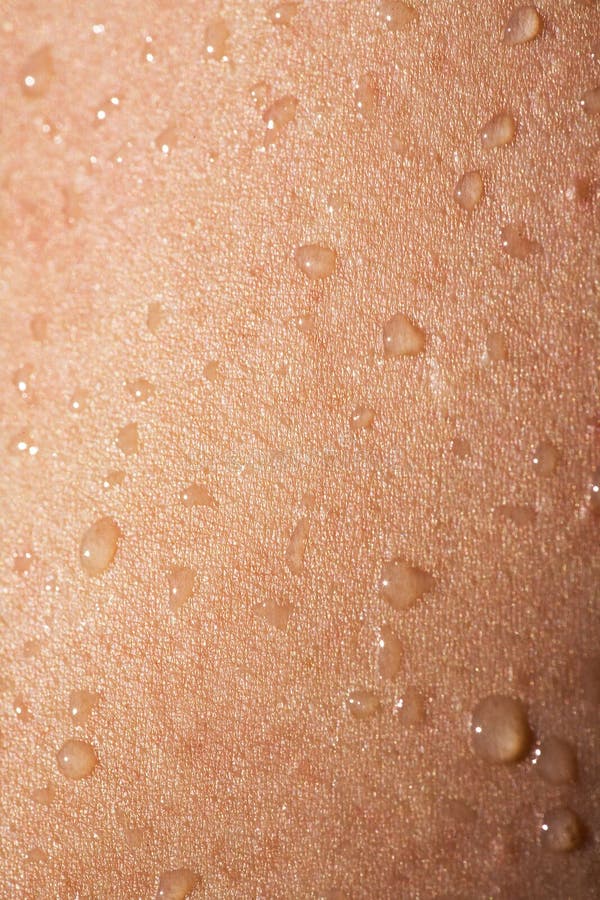 Dry Skin stock photo. Image of macro, flake, health, skin - 10610394