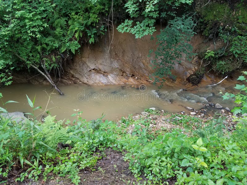 Small River or Creek with Green Plants Stock Image - Image of outdoor ...