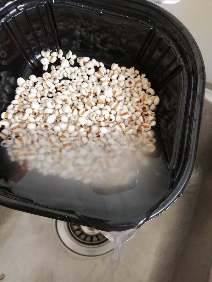 Water Soaked Millet in a Black Cup. Stock Photo - Image of millet, meat ...