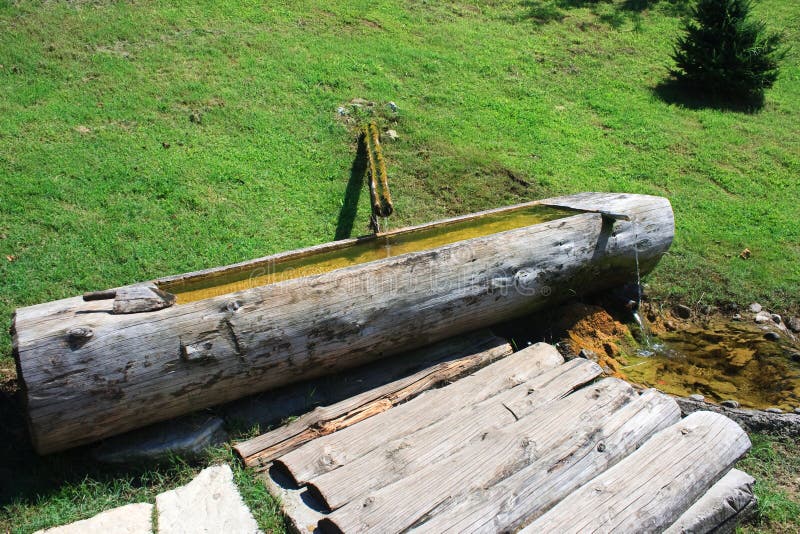 Water source stock photo. Image of macro, developing - 16790676