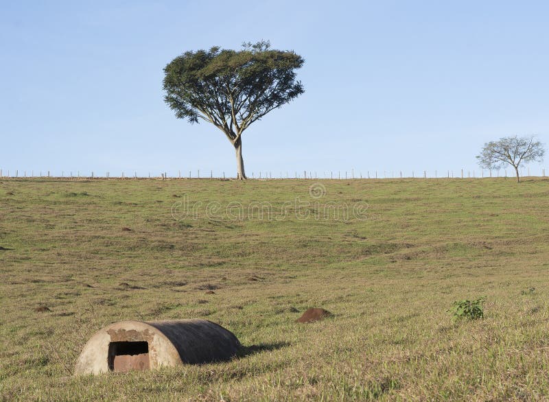Water Source in Farm Pasture Stock Photo - Image of green, fresh: 80273756