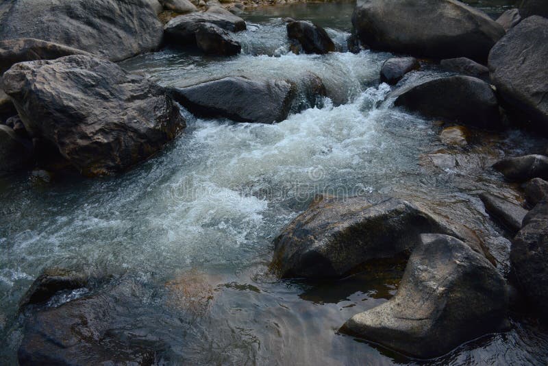 Water source in the forest stock image. Image of flow - 94086607