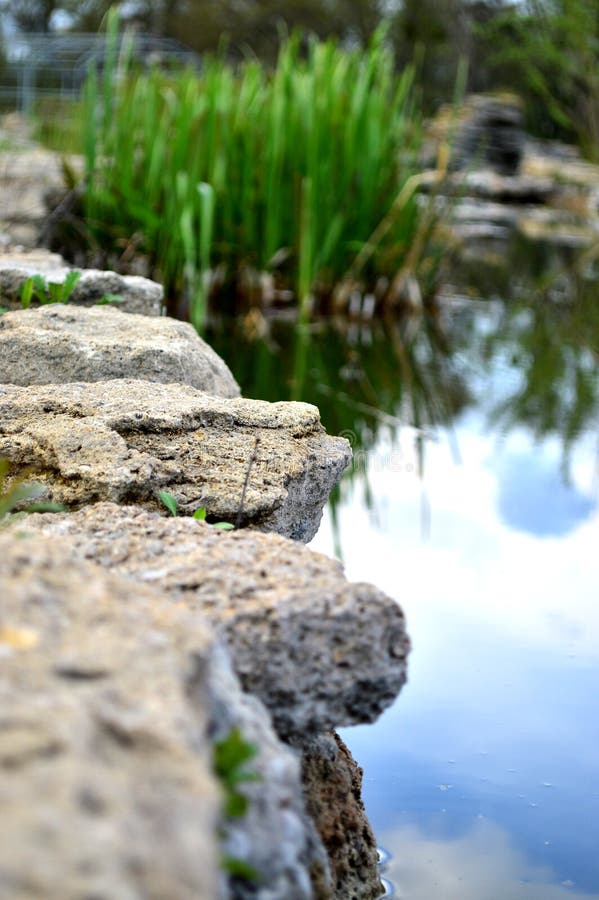 Water is the Source of Freshness Stock Photo - Image of beauteous ...