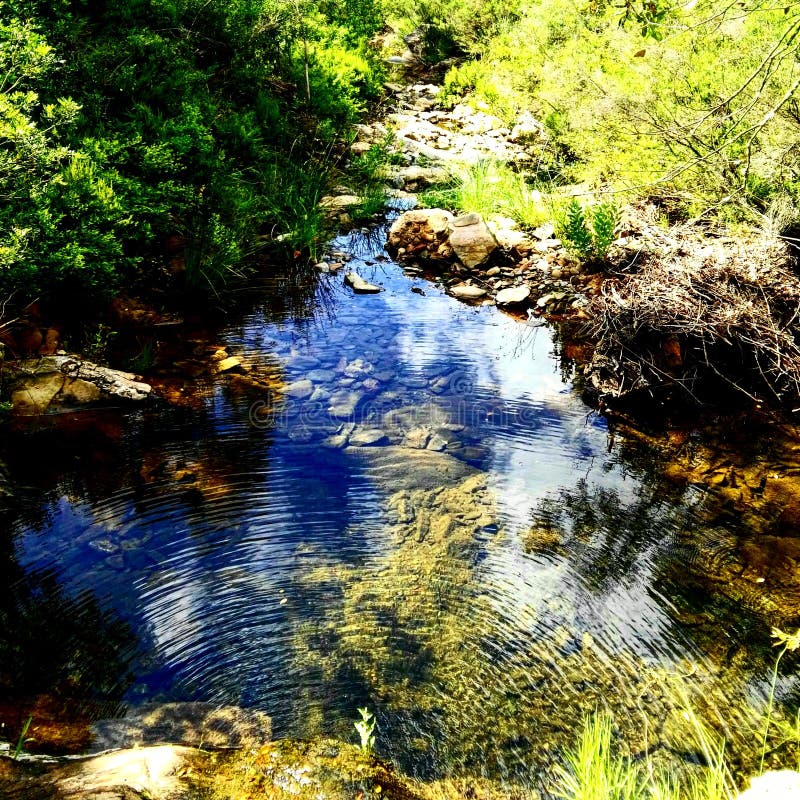 Water source stock image. Image of water, life, hidden - 153923525