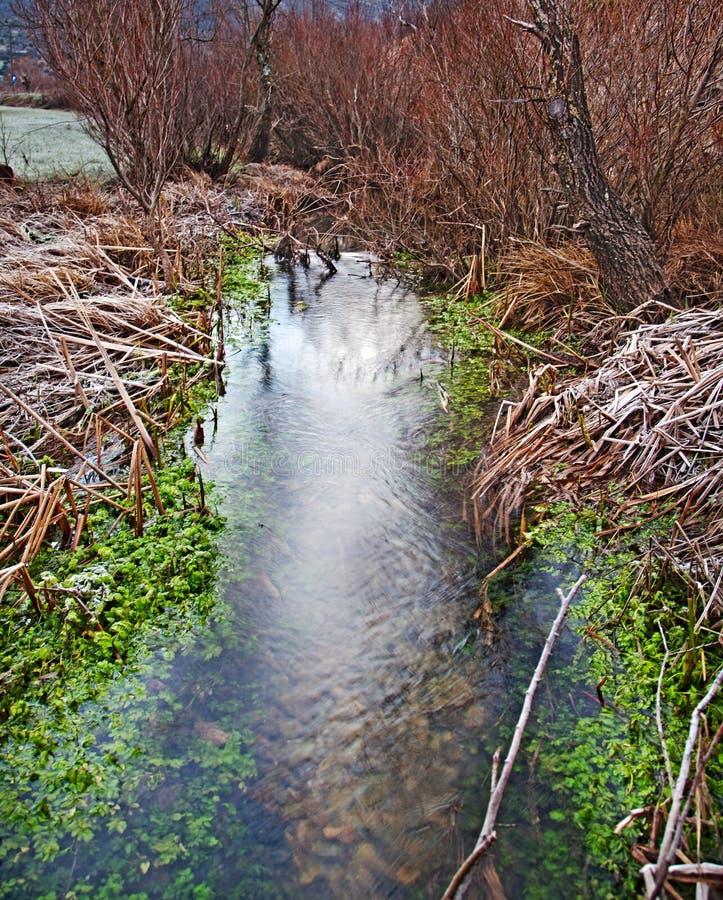 Water is the Source of Life. Stock Image - Image of reflection ...