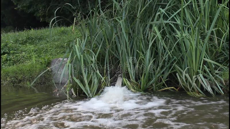 Water source in nature stock footage. Video of healthy - 38902936