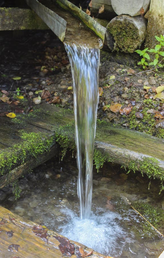 Water source stock photo. Image of forest, environmental - 128734808