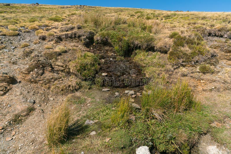 Water Source on the Side of a Mountain in the Sierra Nevada Stock Photo ...