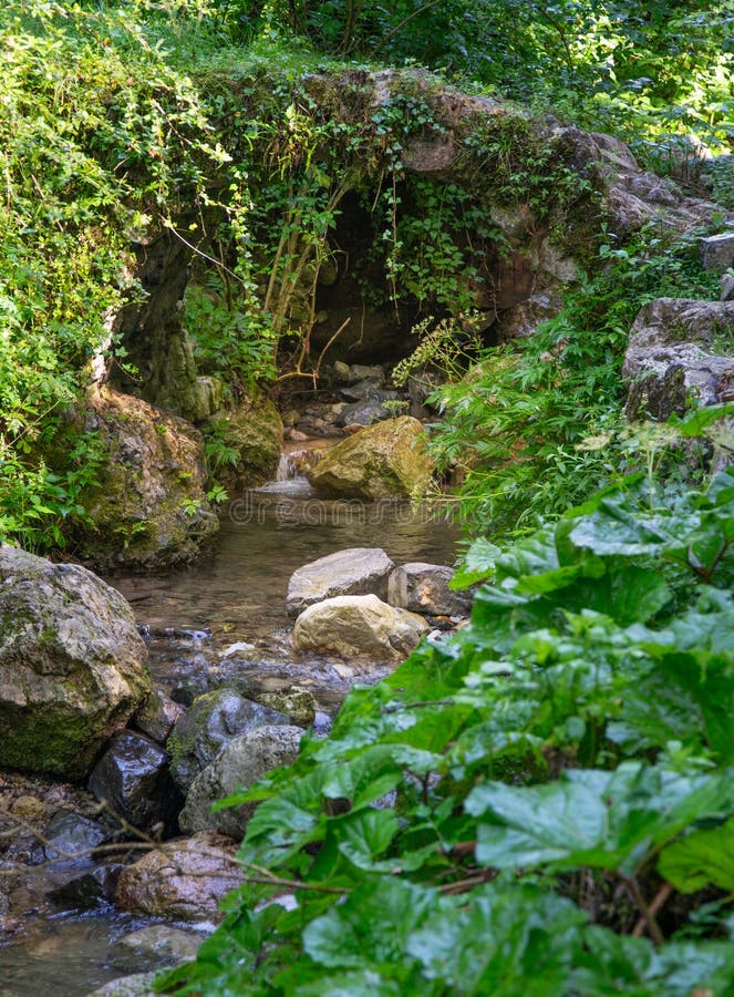 A Small Pond with a Fountain in the Middle Located Near the Forest ...