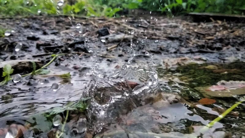 Water Splash Puddle Stock Photos - Download 7,001 Royalty Free Photos