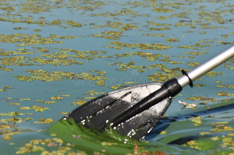 Water Splash after Black Oar in Green River Water Closeup Stock Photo ...