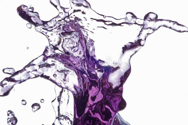 Water Splash Cat stock image. Image of transparent, drop - 52117619