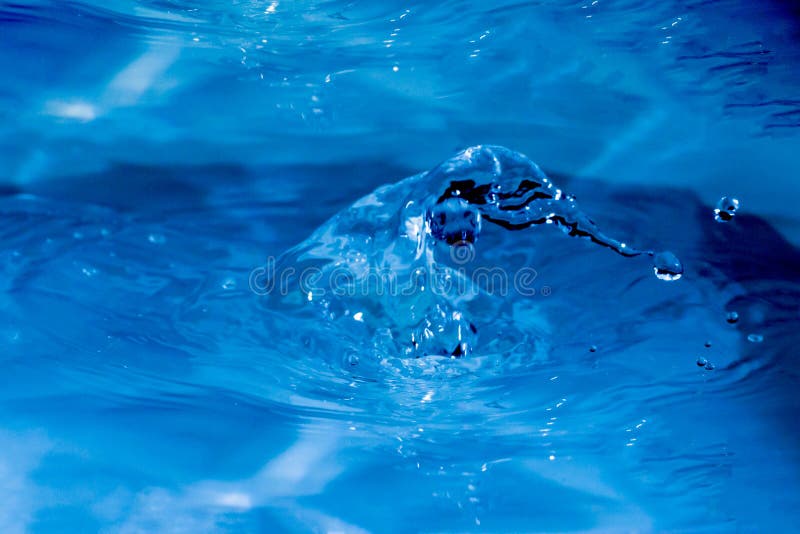 Water Splash in Dark Blue Color with a Drop of Water Flying from Stock ...