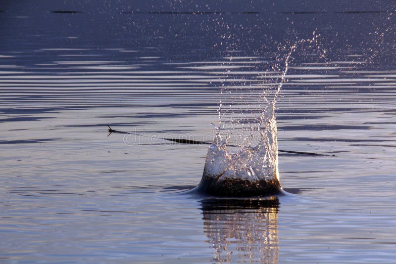 Water Splash Drop, Ripple on the Surface Stock Photo - Image of rain ...