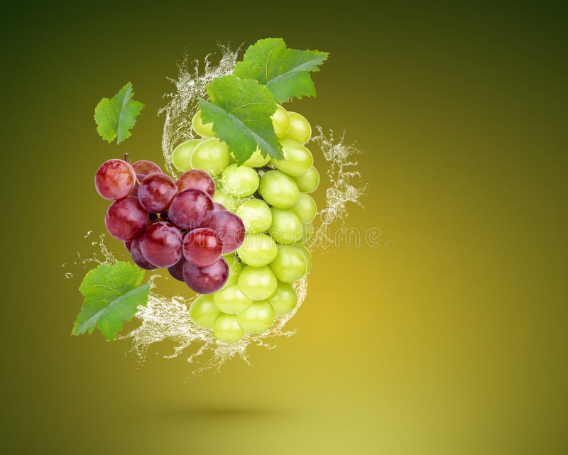 Water Splash on Fresh Grape with Leaves Isolated on White Background ...
