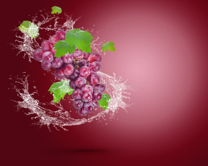 Water Splash on Fresh Red Grape with Leaves Isolated on Red Background ...