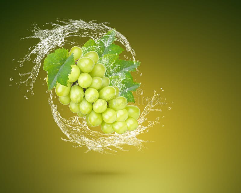 Water Splash on Fresh Red Grape with Leaves Isolated on Green ...