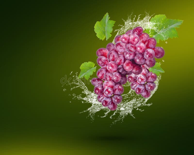 Water Splash on Fresh Red Grape with Leaves Isolated on White ...