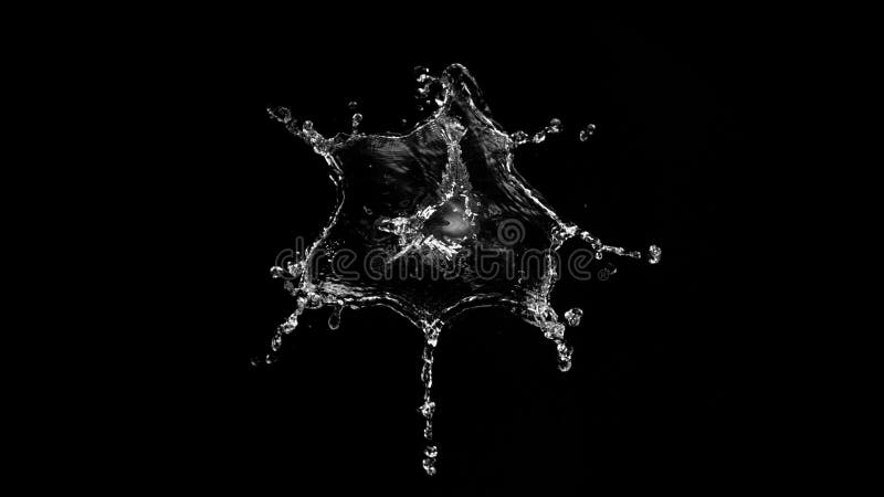 Star from Water Splash Isolated on White Stock Illustration ...