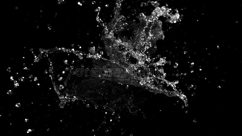 Water Splash Isolated on Black Background Stock Image - Image of ...