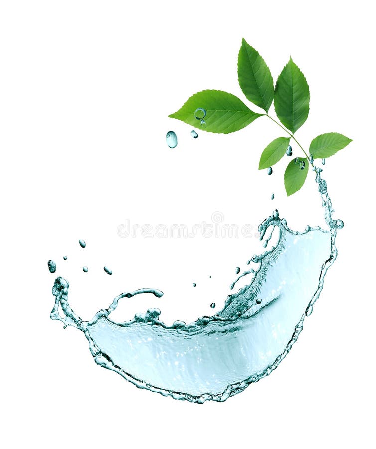 Water Splash And Leaves stock image. Image of tree, background - 72354895