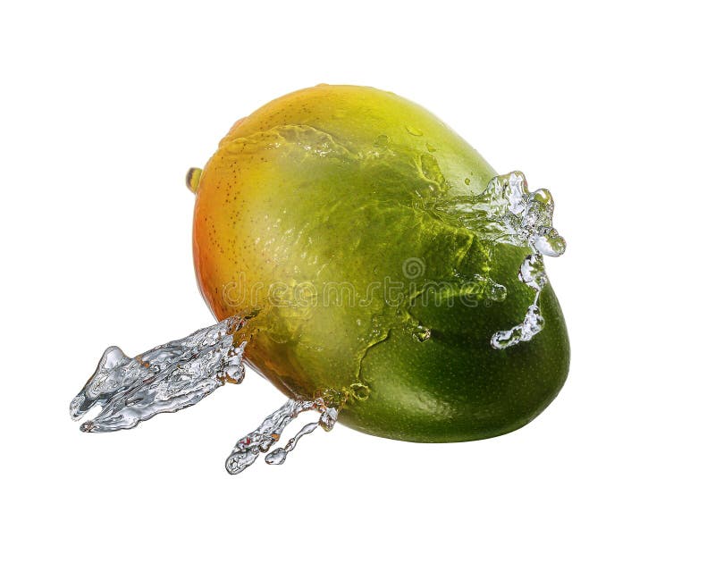 Water Splash with Mango Isolated Stock Image - Image of beauty, nature ...